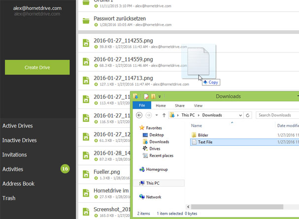 Hornetdrive-Copy-Eng - Hornetdrive